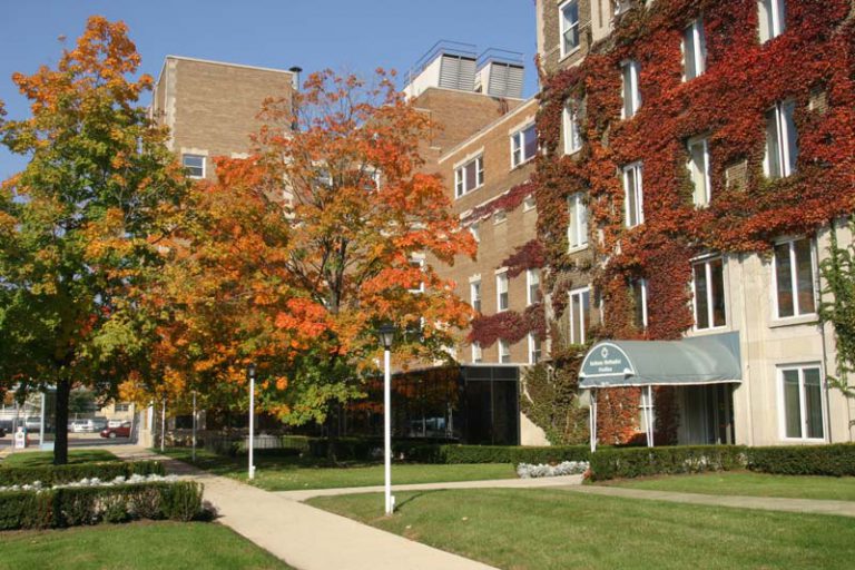 Our History & Milestones - Thorek Memorial Hospital Andersonville